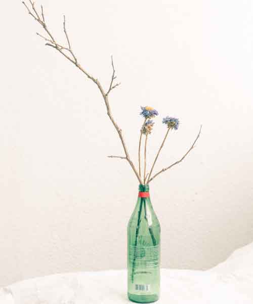 Descubre la más variada selección de Flores Secas - Flores a Secas