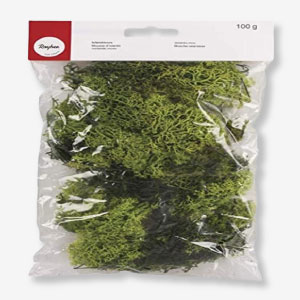 Musgo Preservado - En Flores a Secas